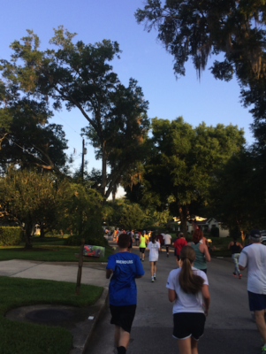 Run for the Trees 5K Race Recap | Love & Zest